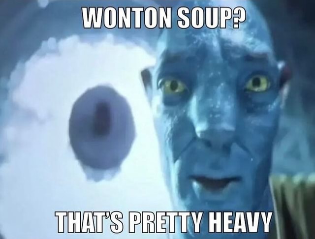 WONTON SOUP? THAT'S PRETTY HEAVY - iFunny