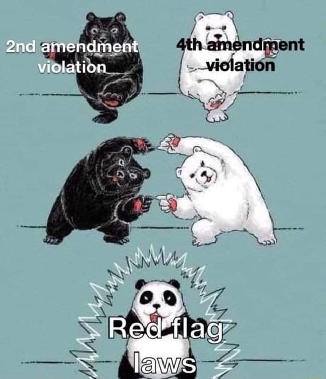 Amendment violation amendment --violation - iFunny
