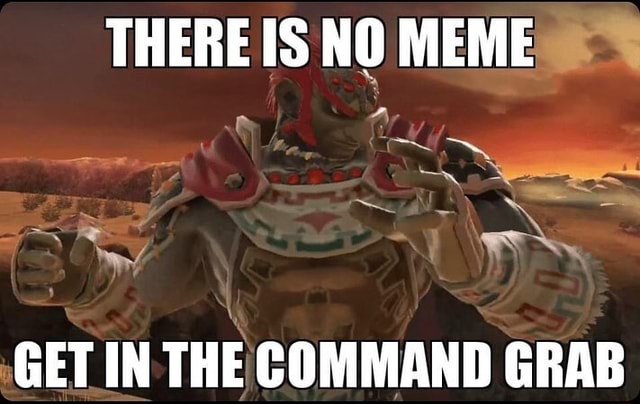 THERE IS NO MEME GETIN THE COMMAND GRAB - iFunny