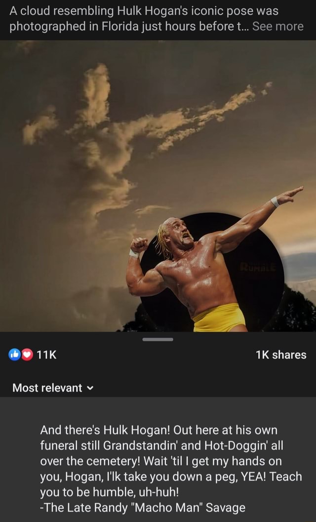 A cloud resembling Hulk Hogan's iconic pose was photographed in Florida ...