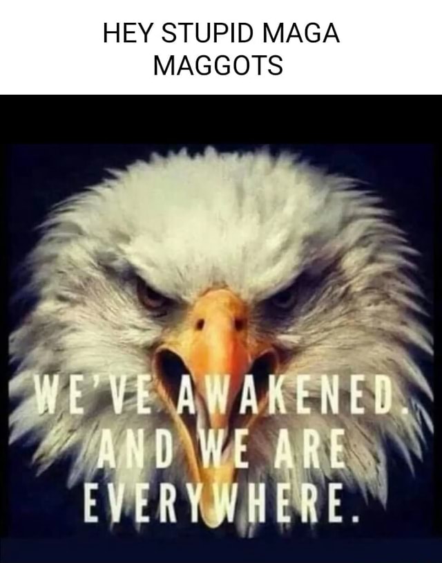 HEY STUPID MAGA MAGGOTS EVER - America’s best pics and videos
