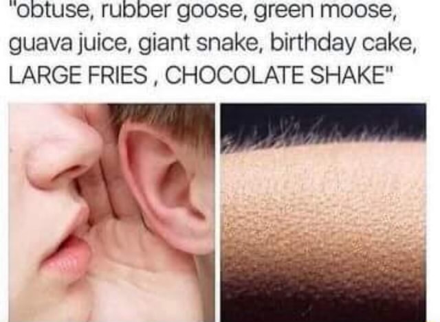 "obtuse, rubber goose, green moose, guava juice, giant snake, birthday ...