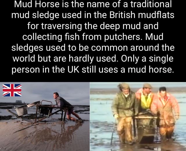 Mud Horse is the name of a traditional mud sledge used in the British ...