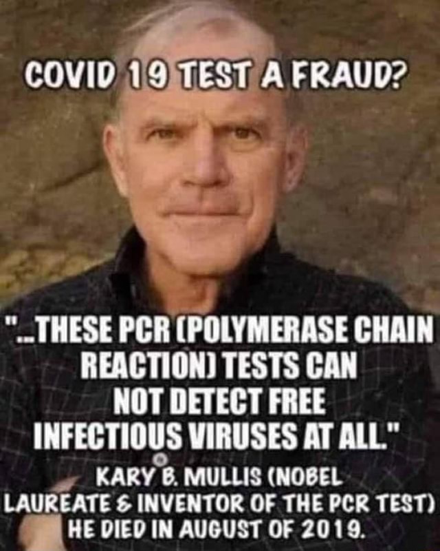 COVID TEST FRAUD? THESE PCR (POLYMERASE CHAIN REACTION) TESTS CAN NOT ...