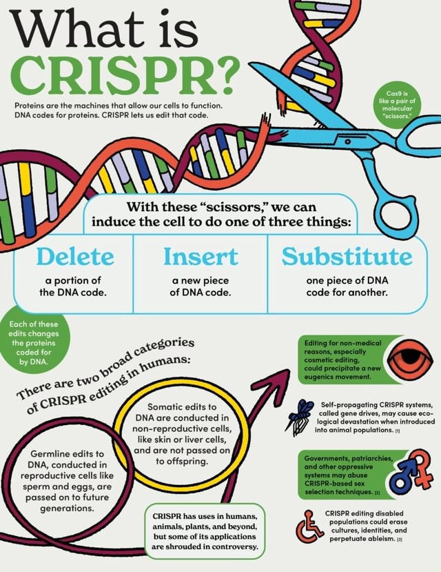What is CRISPR? Proteins are the machines that allow our cells to ...