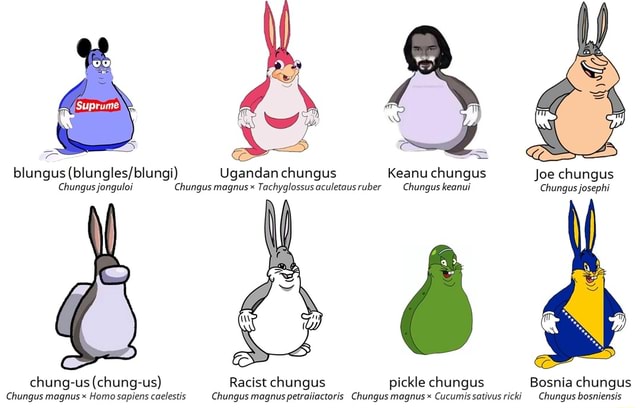 Blungus Ugandan chungus Keanu chungus Joe chungus chung-us (chung-us ...