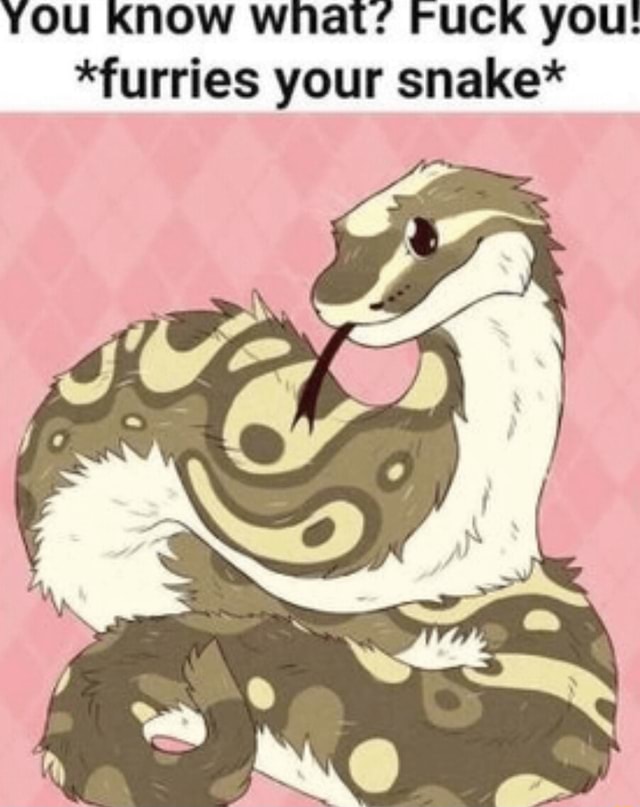 You KNOW wnat' FUCK you" *furries your snake* - iFunny