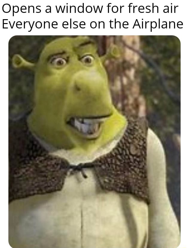 Opens a window for fresh air Everyone else on the Airplane - iFunny