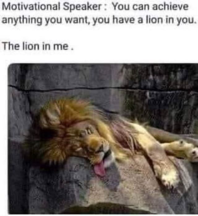 Motivational Speaker You can achieve anything you want, you have a lion ...