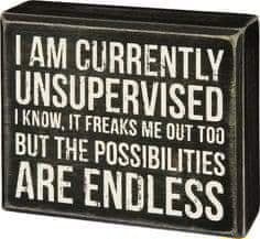 AM CURRENTLY UNSUPERVISED IT FREAKS ME OUT BUT THE POSSIBILITE ENDL ARE ...