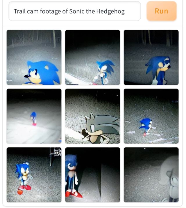 Trail cam footage of Sonic the Hedgehog Run - iFunny