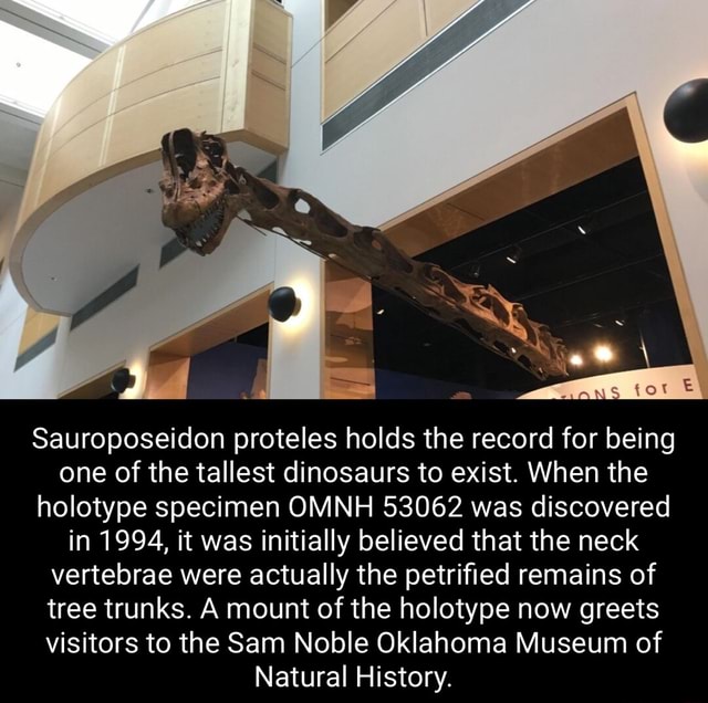 Sauroposeidon proteles holds the record for being one of the tallest ...