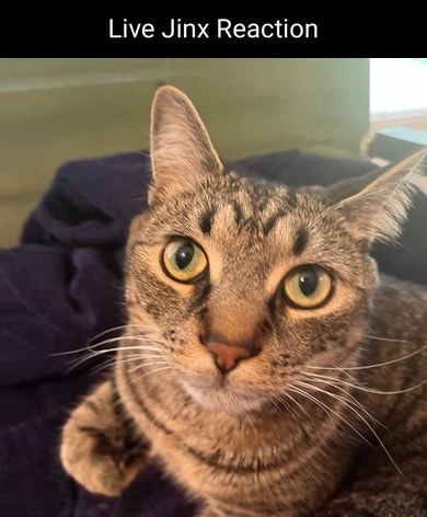 Live Jinx Reaction - iFunny