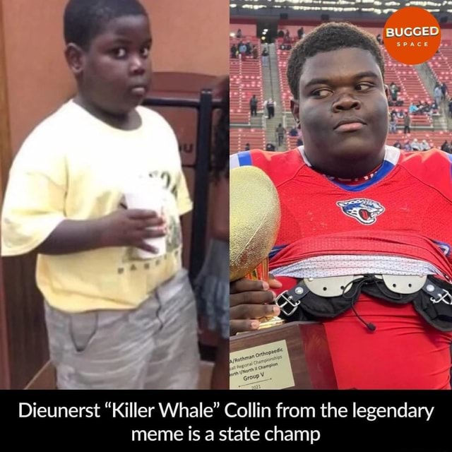 BUGGED Dieunerst "Killer Whale" Collin from the legendary meme is as ...