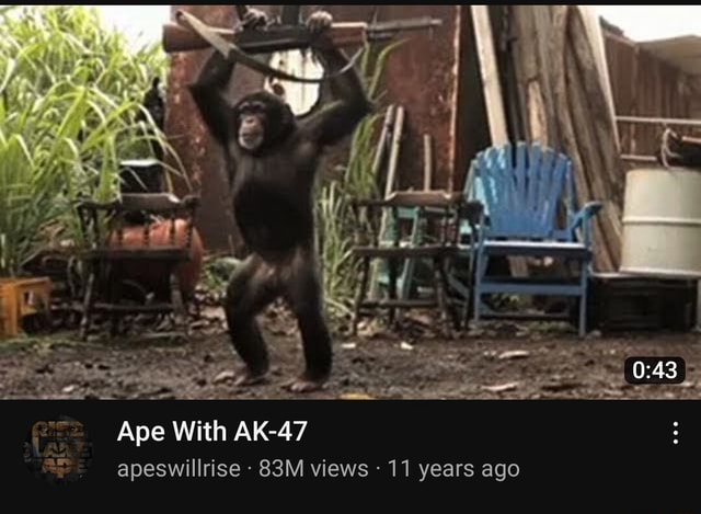 Ape With AK-47 apeswillrise views 11 years ago - iFunny