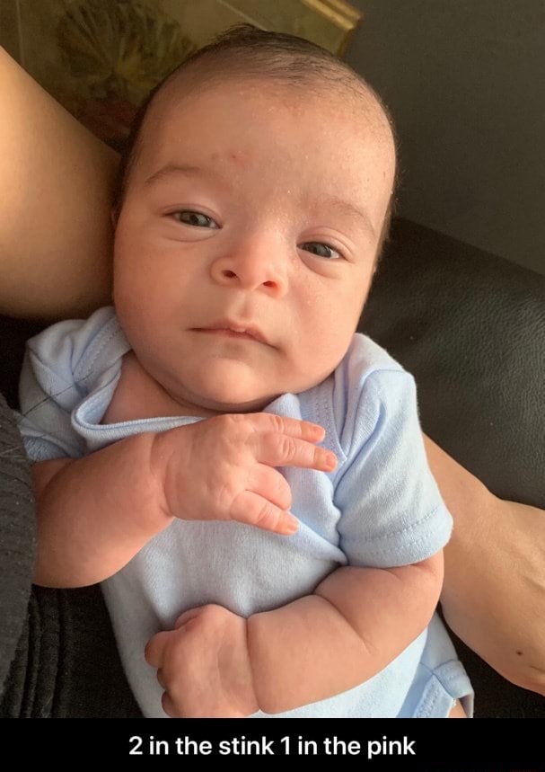 2 in the stink1 in the pink - 2 in the stink 1 in the pink - iFunny