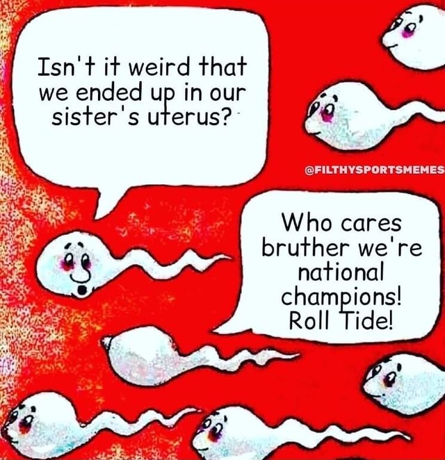 Isn't it weird that we ended up in our sister's uterus? 1YSPORTSMEMES ...