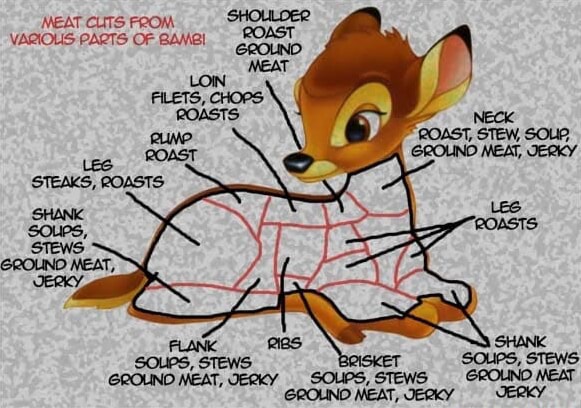 MEAT CUTS FROM VARIOUS PARTS OF BAMBI ROAST MEAT LOIN FILETS, CHOPS ...