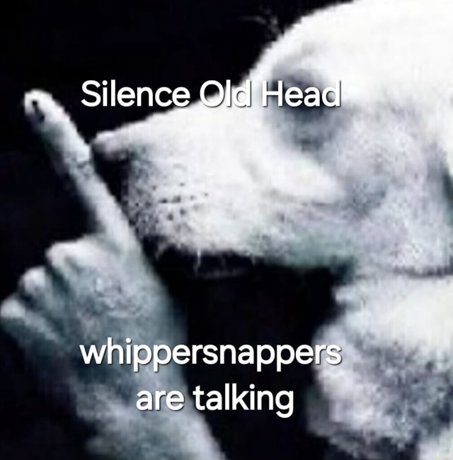 Silence whippersnappers are talking - iFunny