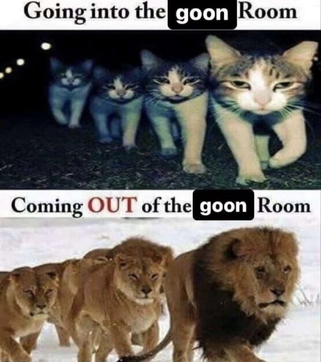 Going into the goon Room Coming OUT of the goon Room - iFunny