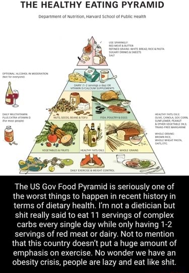 THE HEALTHY EATING PYRAMID The US Gov Food Pyramid is seriously one of ...