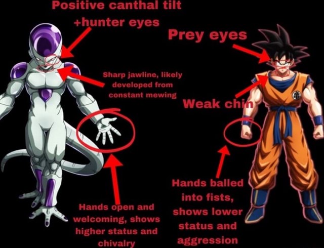 Positive canthal tilt +hunter eyes Prey eyes Sharp jawline, likely ...