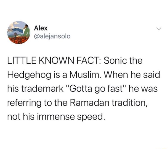 LITTLE KNOWN FACT: Sonic the Hedgehog is a Muslim. When he said his ...