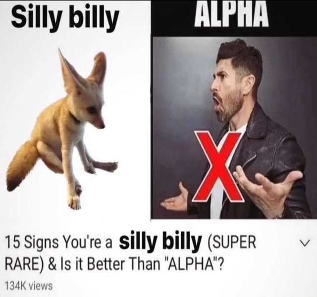 Silly billy 15 Signs You're a Silly billy (SUPER RARE) & Is it Better Than "ALPHA"? 134K views ...