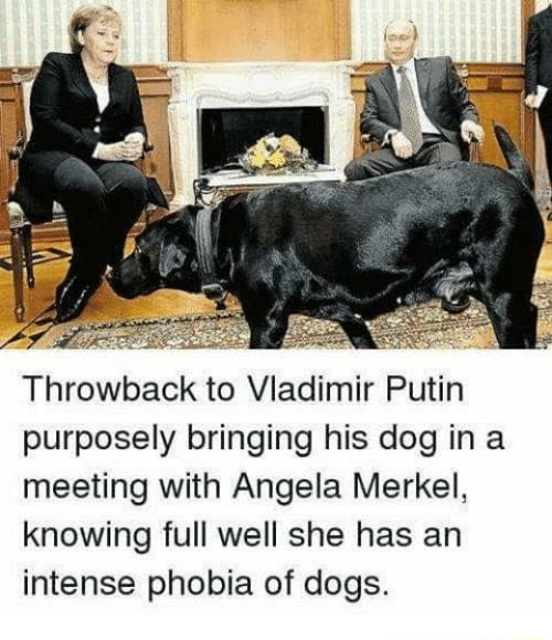 Throwback to Viadimir Putin purposely bringing his dog ina meeting with ...