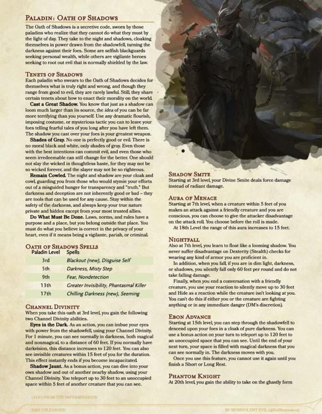 PALADIN: OATH OF SHADOWS The Oath of Shadows is a secretive code, sworn ...