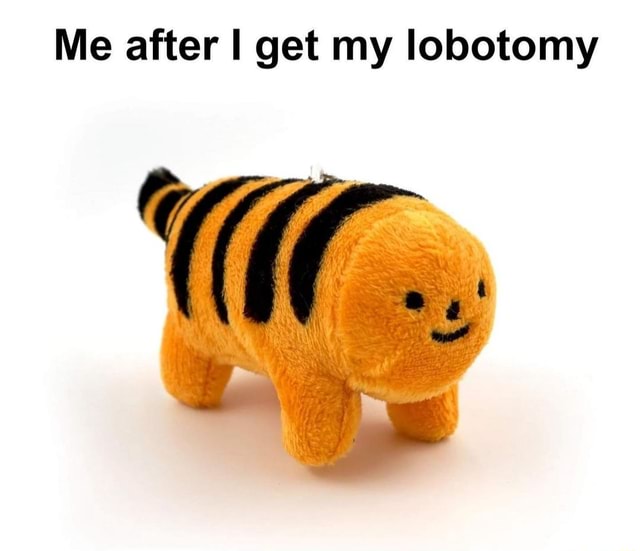 Me after I get my lobotomy - iFunny