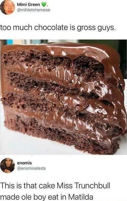 Too much chocolate is gross guys. enomis This is that cake Miss ...