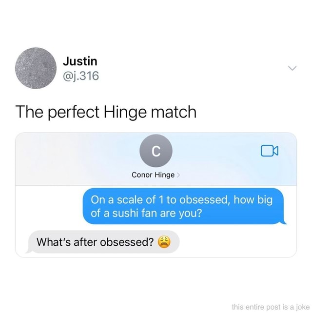 Justin @).316 The perfect Hinge match On a scale of 1 to obsessed, how ...