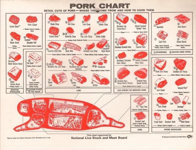 PORK CHART RETAIL CUTS OF PORK- WHERE FROM AND HOW TO COOK THEM ES ...