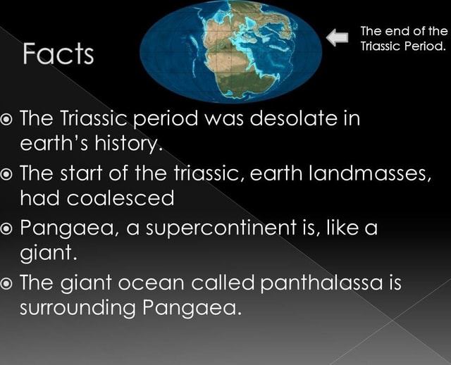 The end of the Triassic Period. Facts The Triassic period was desolate ...