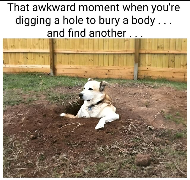 That awkward moment when you're digging a hole to bury a body... and ...