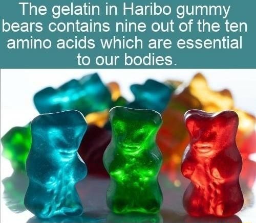 The gelatin in Haribo gummy bears contains nine out of the ten amino ...