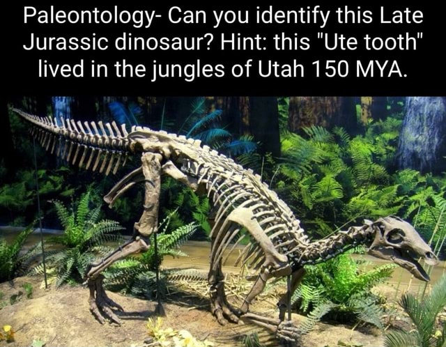 Paleontology- Can you identify this Late Jurassic dinosaur? Hint: this ...