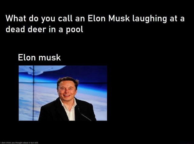 What do you call an Elon Musk laughing at a dead deer in a pool Elon ...