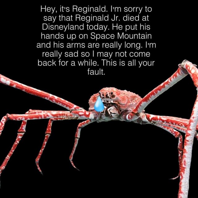 Reginald Memes