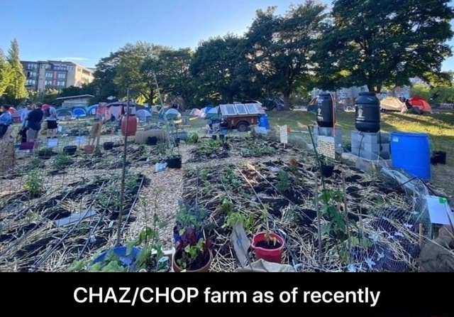 CHAZ/CHOP farm as of recently - CHAZ/CHOP farm as of recently - iFunny