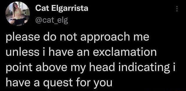 Cat Elgarrista please do not approach me unless have an exclamation ...