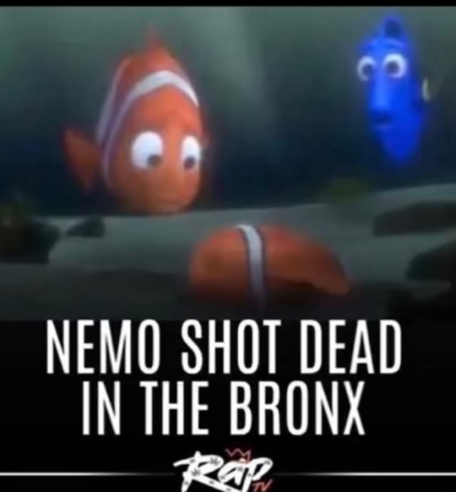 NEMO SHOT DEAD IN THE BRONX - iFunny