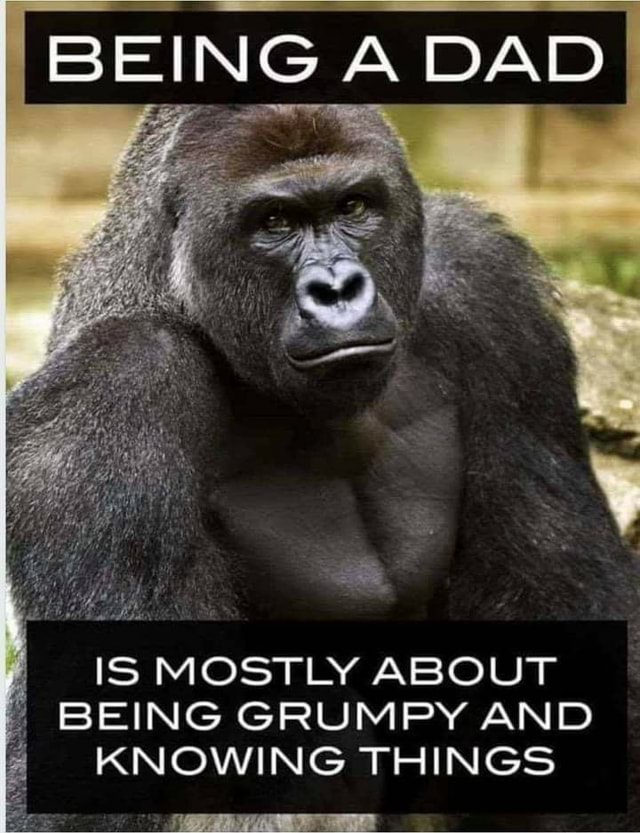 BEING A DAD ISMOSTLY ABOUT BEING GRUMPY AND KNOWING THINGS - America’s ...