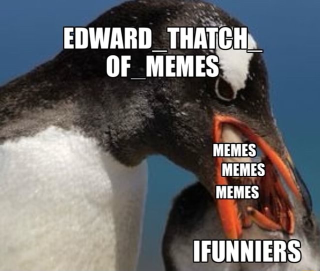 EDWARD THATCH OF MEMES MEMES MEMES MEMES IFUNNIERS - iFunny