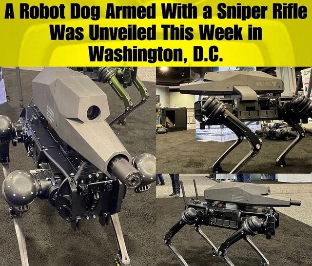 A Robot Dog Armed With a Sniper Rifle Was Unveiled This Week in ...