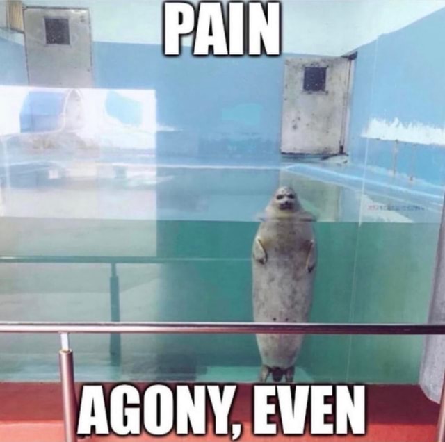 PAIN AGONY, EVEN - iFunny