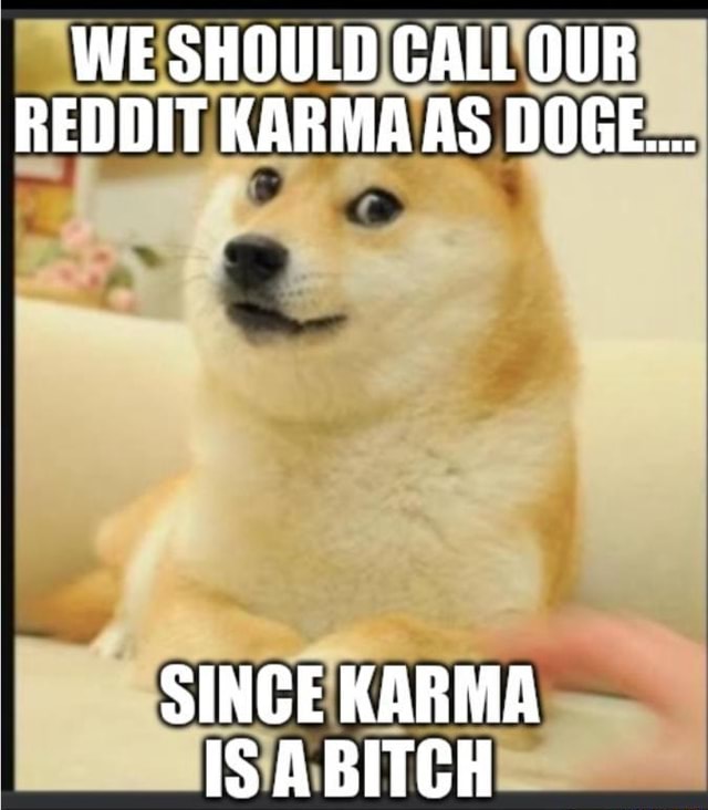 WE SHOULD CALL OUR REDDIT KARMA AS DOGE.... SINCE KARMA IS ARITCH - iFunny