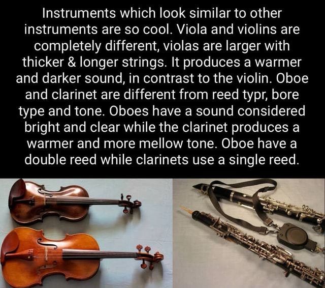 Instruments which look similar to other instruments are so cool. Viola ...