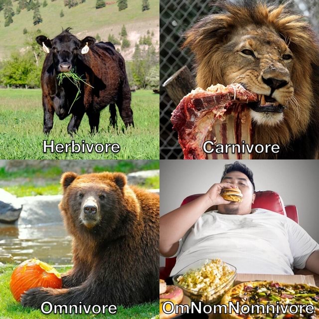 Herbivore Omnivore Carnivore OmNomNomnivore - iFunny